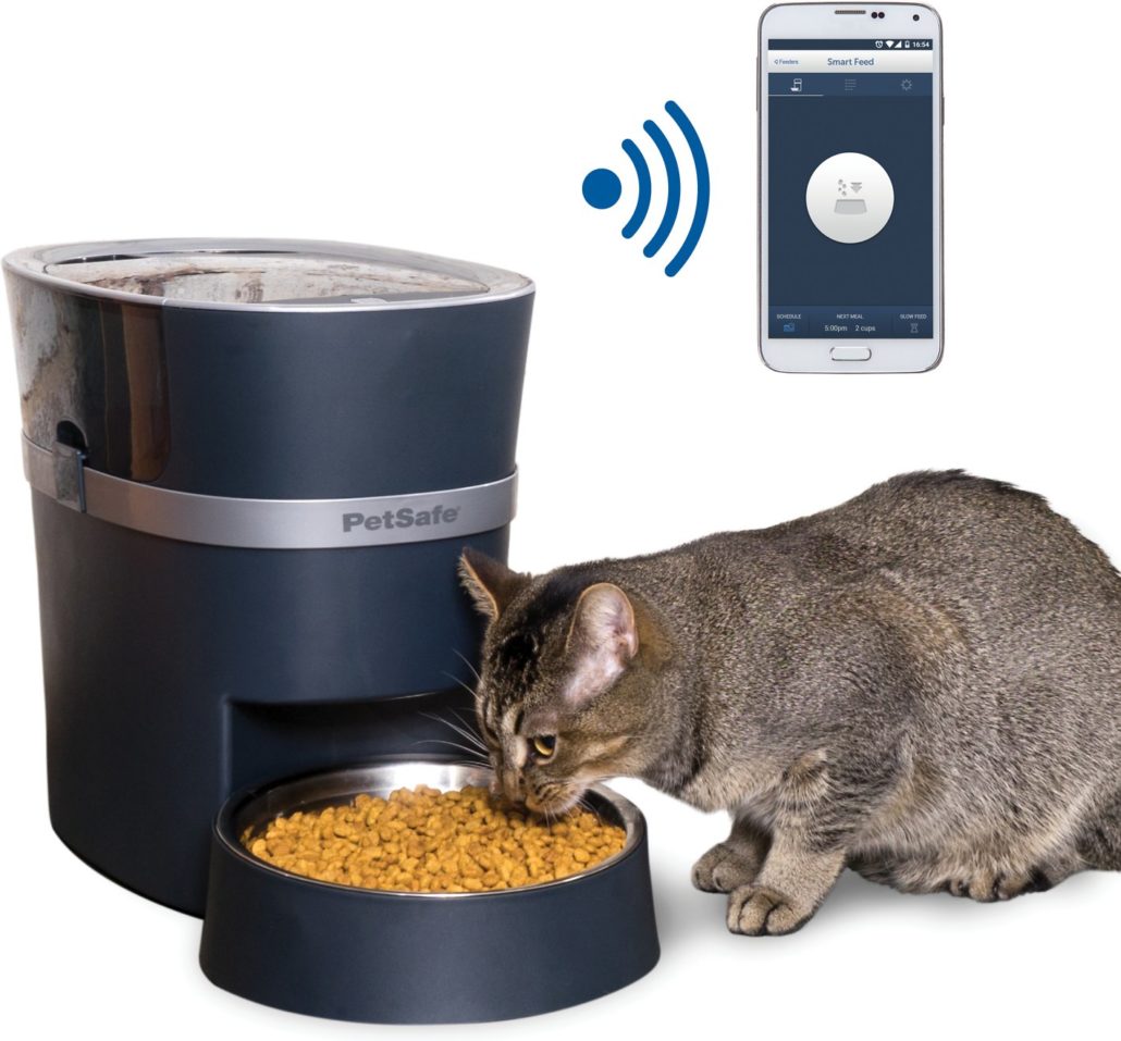Best Pet Technology Products - Giggle Pets